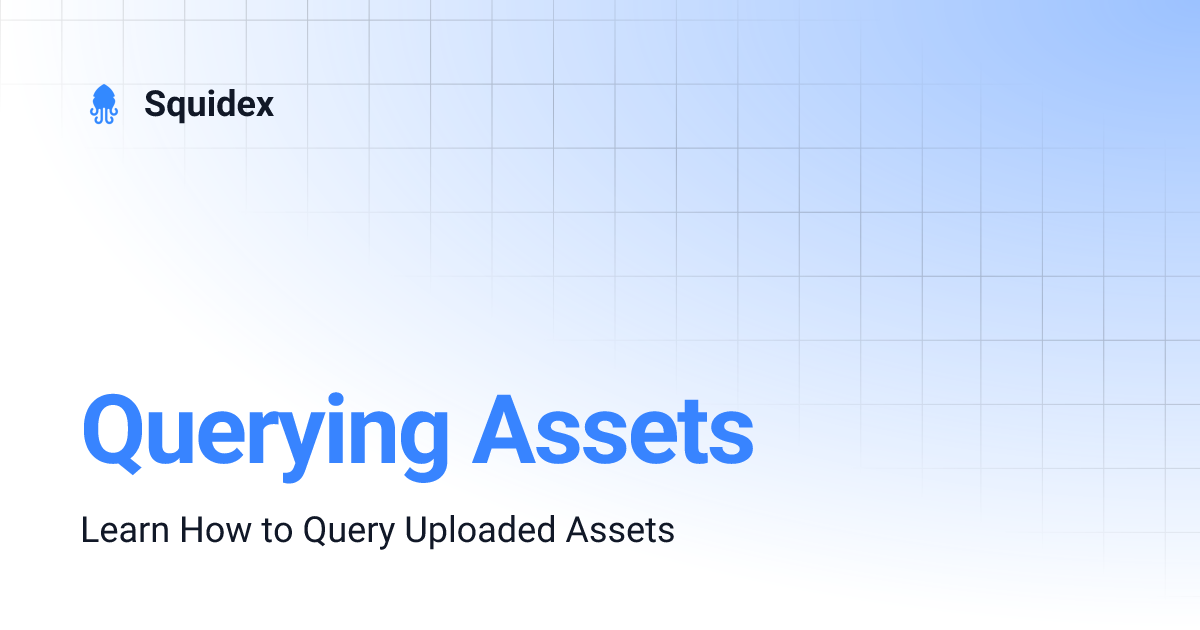 Querying Assets | Squidex